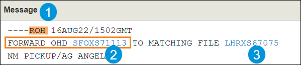 How to Read WorldTracer Messages